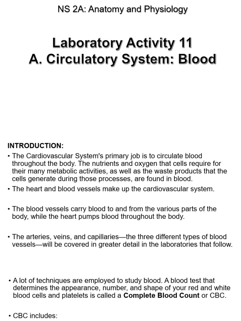 Lab Discussion Cardiovascular System | PDF | Heart Valve | Atrium (Heart)