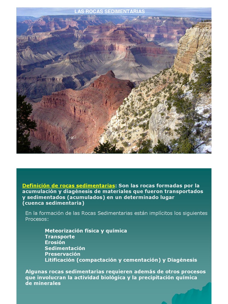 Ejemplos de Rocas Sedimentarias | PDF | Roca sedimentaria | Roca (geología)
