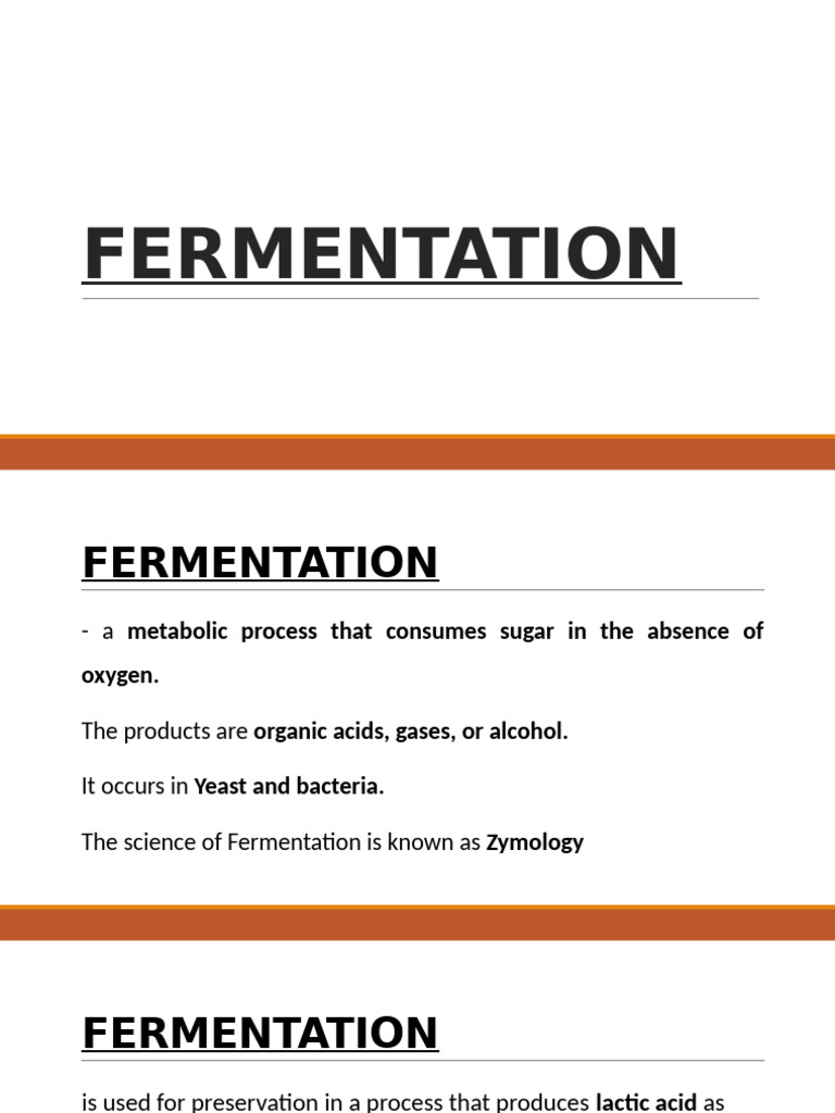 Understanding Fermentation Processes | PDF