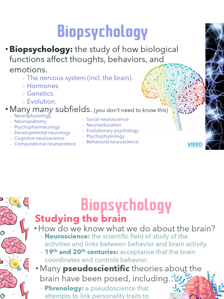 2.1 Intro To Biopsychology | PDF | Behavioral Neuroscience | Medical ...