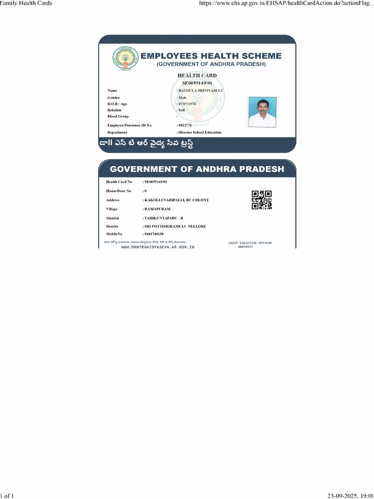 Family Health Cards | PDF