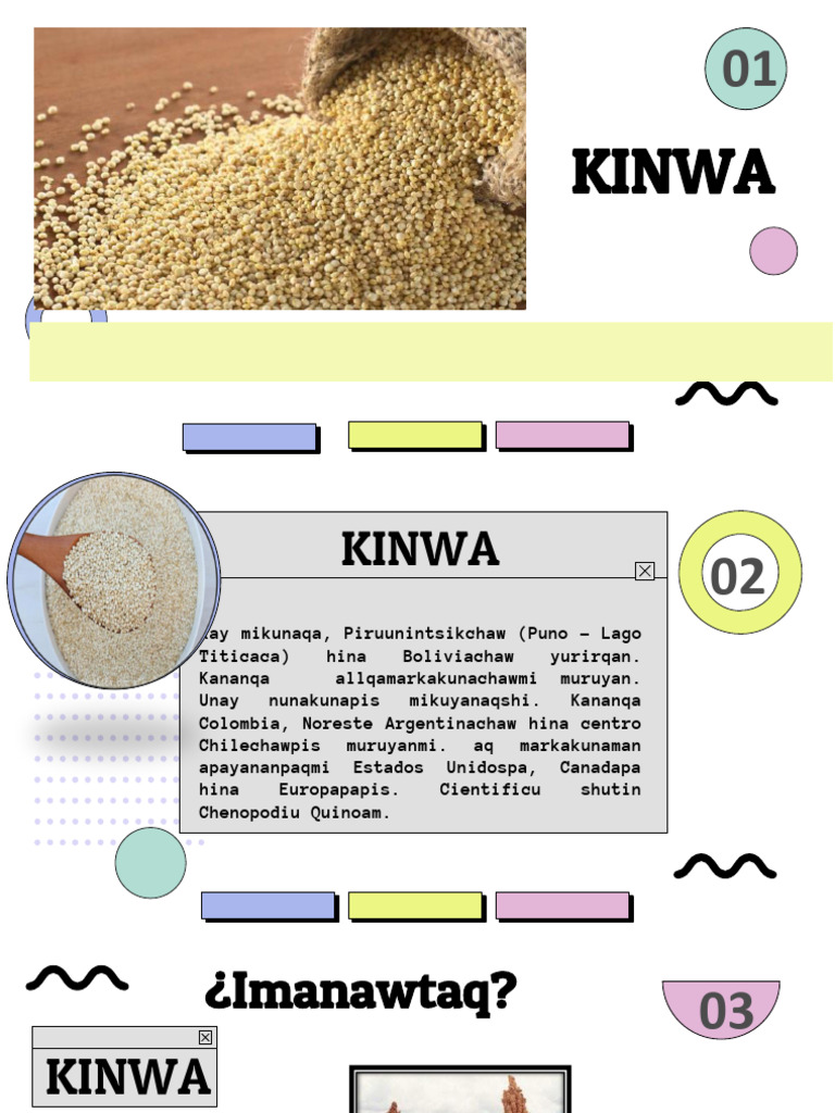 Kinwa Shutin | PDF