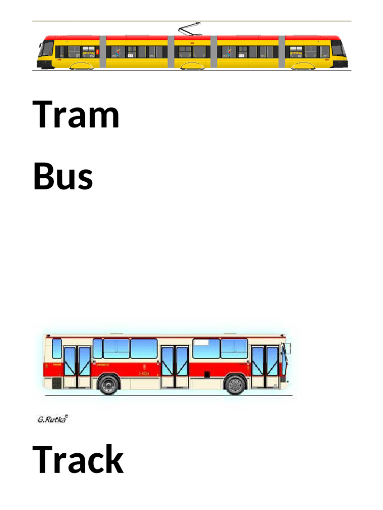 Transportation and Nature Vocabulary | PDF