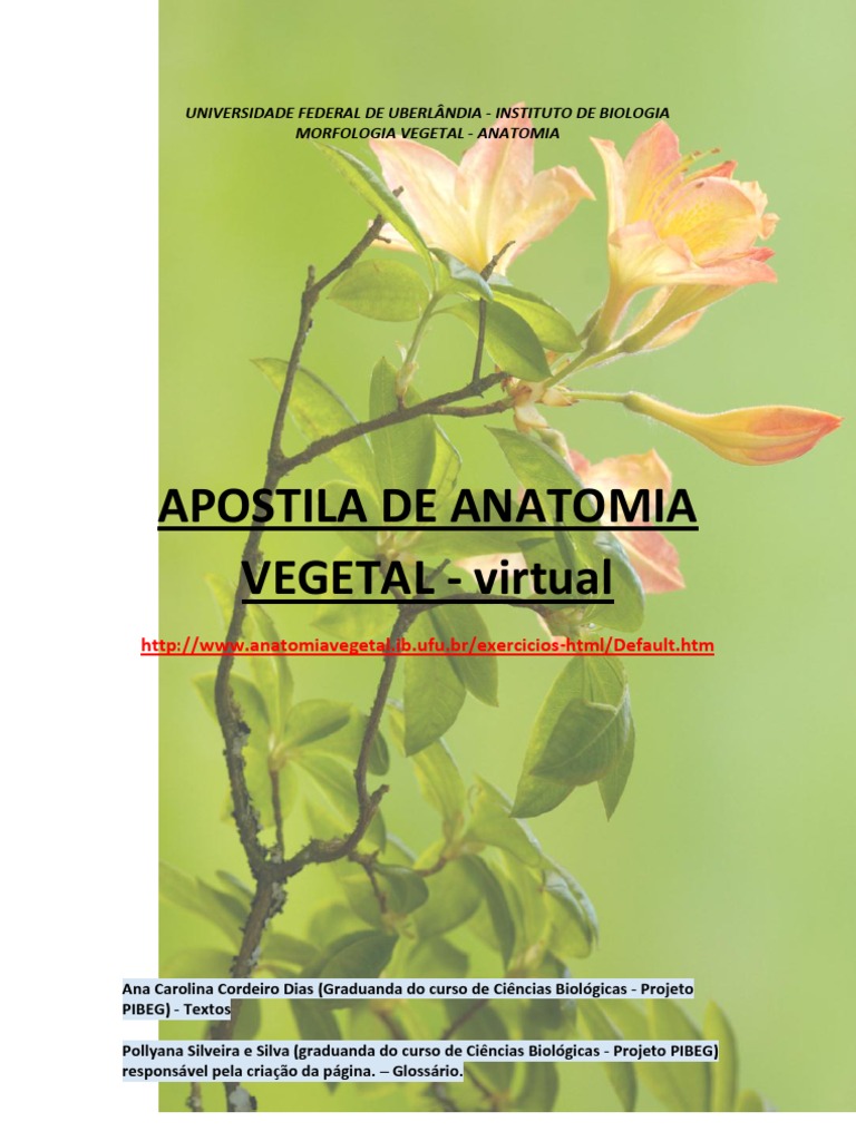 Apostila de Anatomia Vegetal Virtual | PDF | Raiz | Botânica