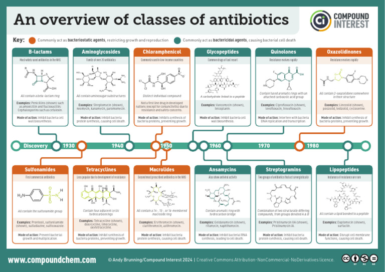 Overview of Antibiotic Classes | PDF | Biocides | Antibiotics