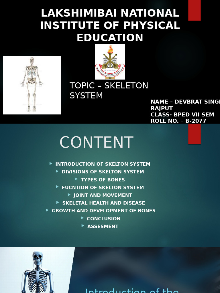 Overview of the Skeleton System | PDF | Skeleton | Bone