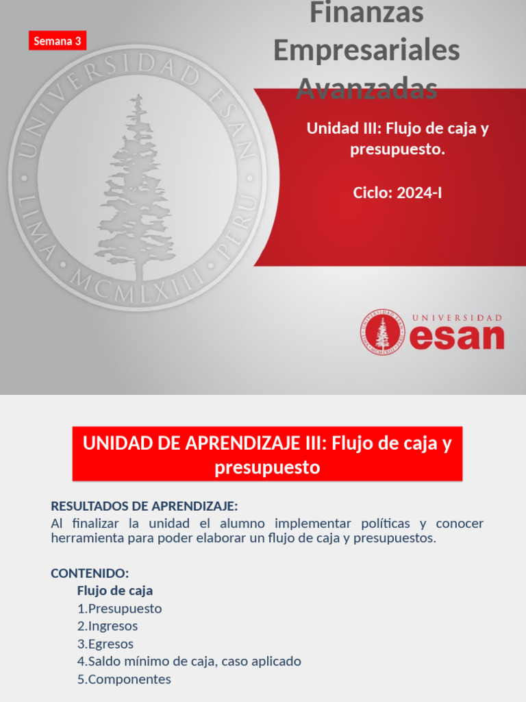 Material 3 FEA - Flujo de Caja | PDF | Presupuesto | Capital de trabajo