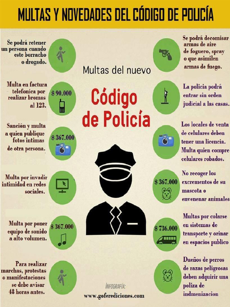 Ley 1801 Infografía 1 Pdf