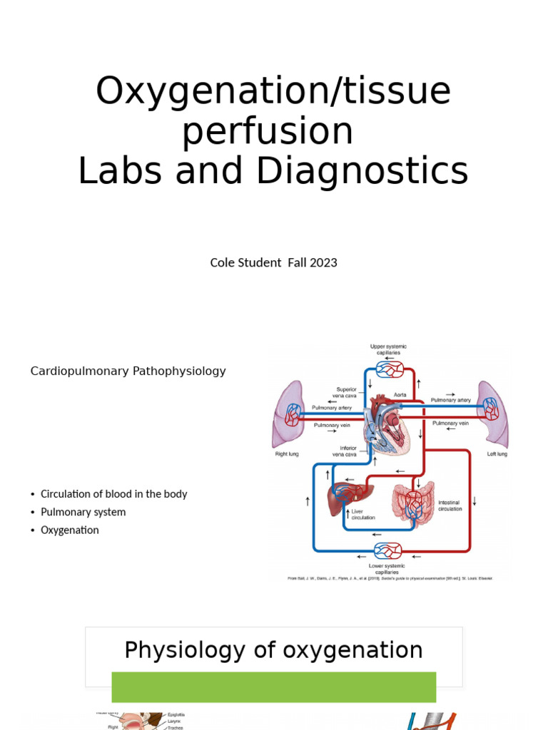 Oxygenation, Labs & Diagnostics Student Fa23 | PDF | Blood | Alanine Transaminase