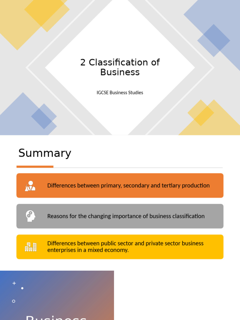 Business Classification Overview | PDF | Business | Profit (Economics)