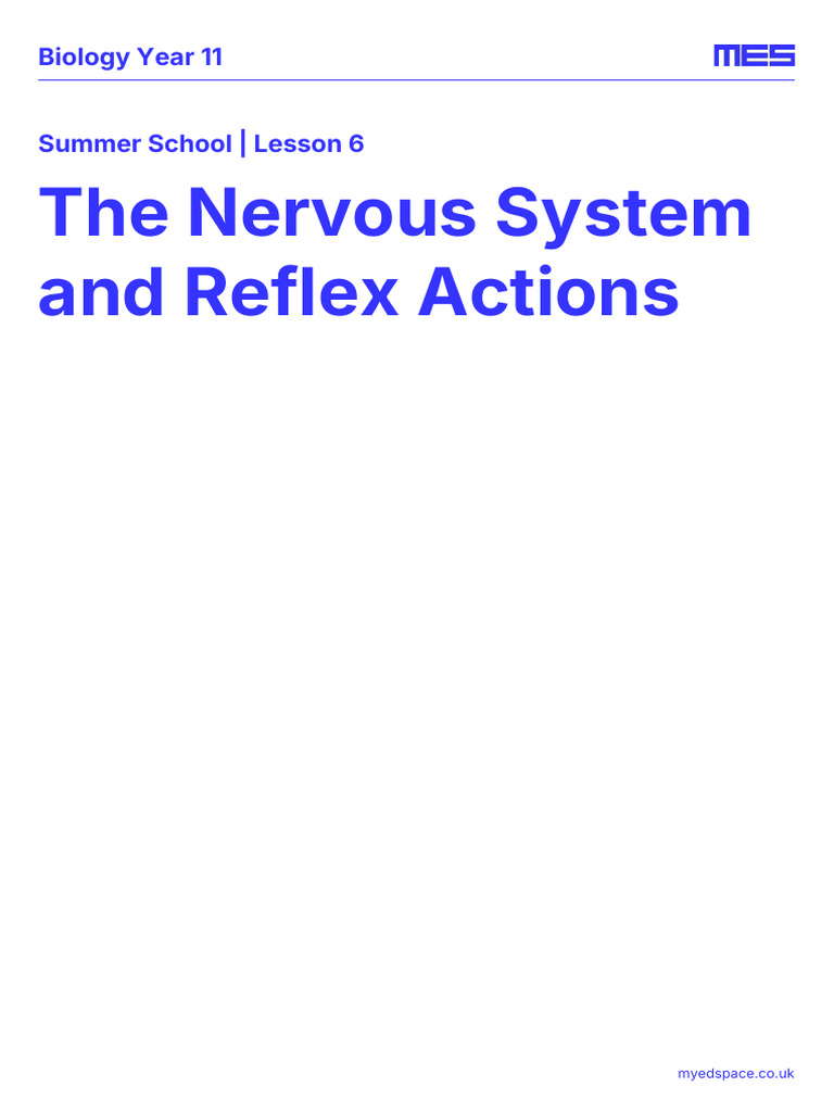 Lesson 6 Nervous System Workbook 1751899128 | PDF
