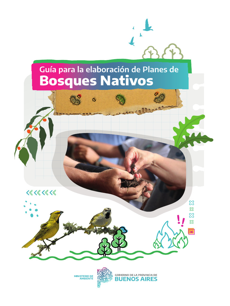 008 - Guia para La Elaboracion de Bosques Nativos - ABRIL24 | PDF | Los ...