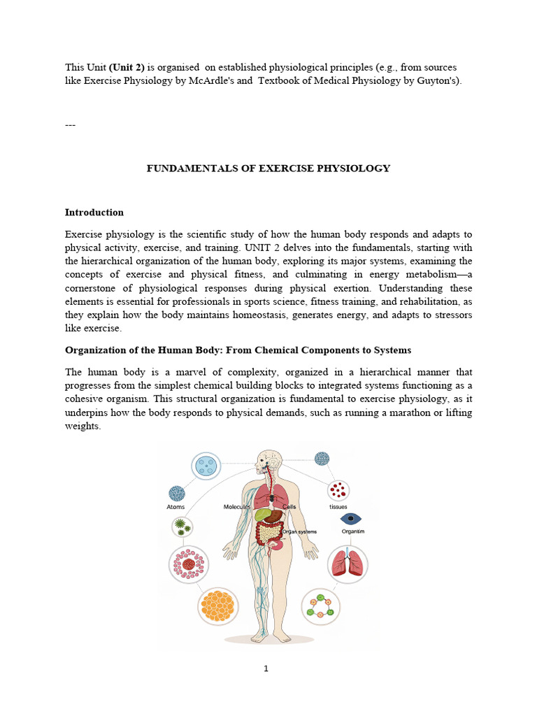 Unit 2 - Fundamentals of Exercise Physiology-1 | PDF | Cellular Respiration | Skeletal Muscle