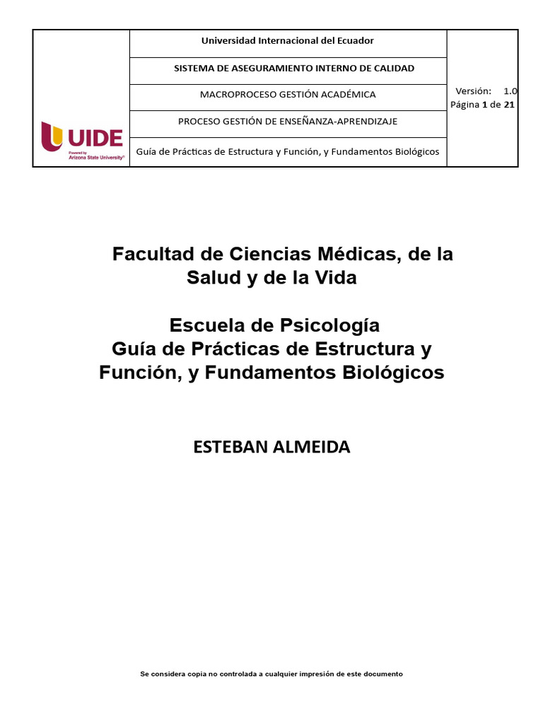 Fund A Mentos | PDF | Neurona | Neocortex