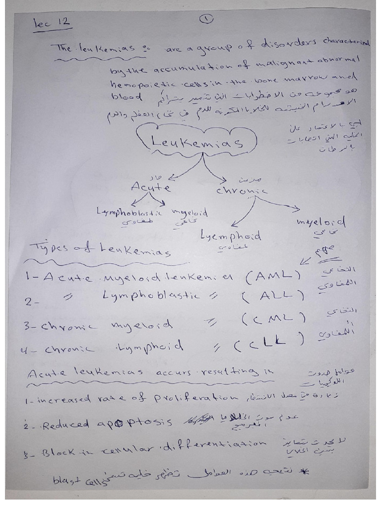 LCC 12 | PDF