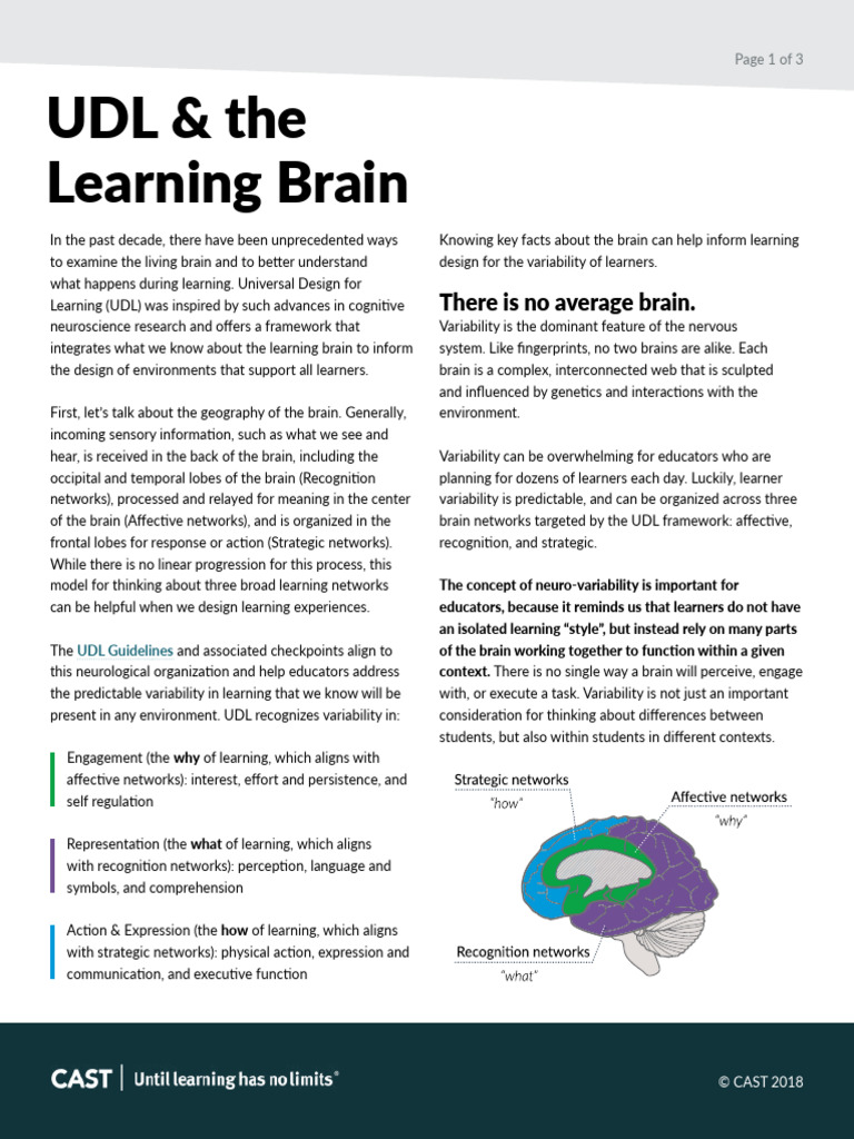 UDl and The Learning Brain - Check | PDF | Learning | Brain