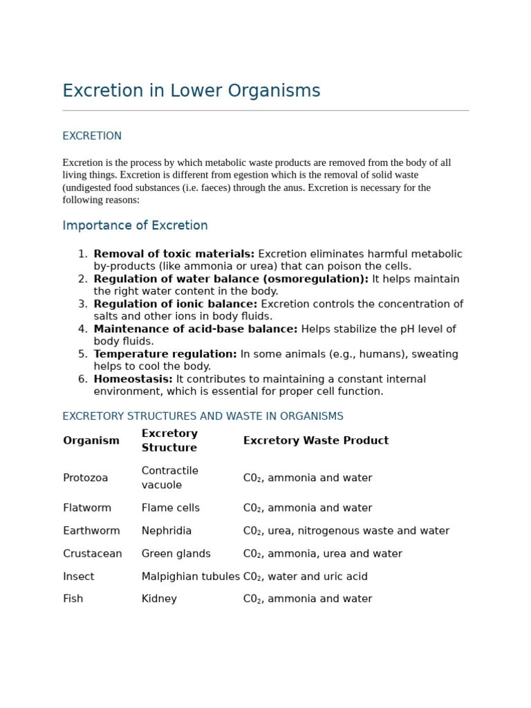 Excretory System in Plant and Animals 2025 | PDF | Excretion | Kidney