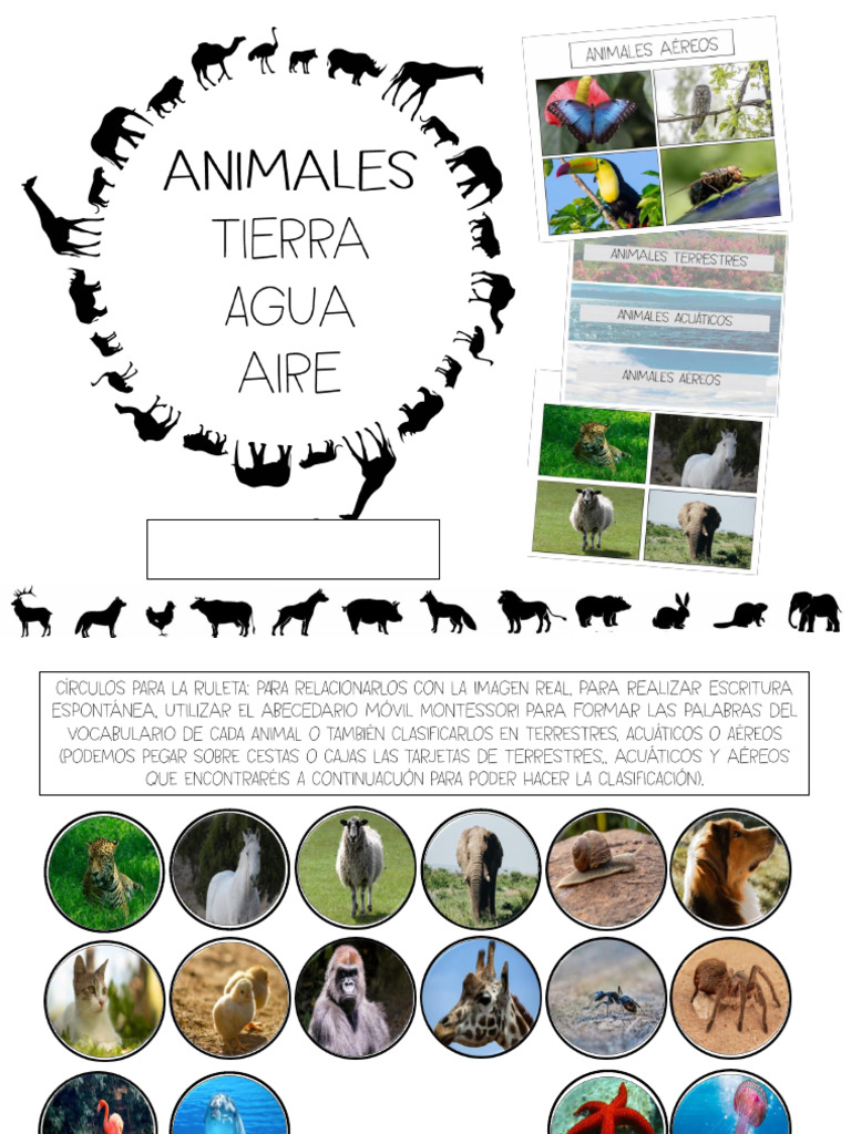 Animales Tierra Agua y Aire | PDF