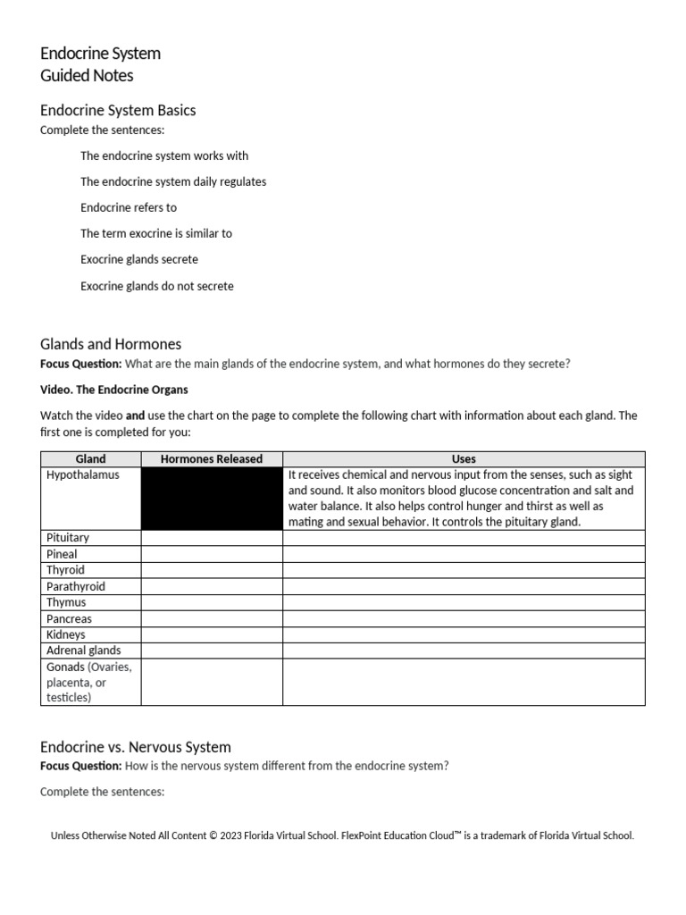 Guided Notes Endocrine System | PDF | Endocrine System | Hormone