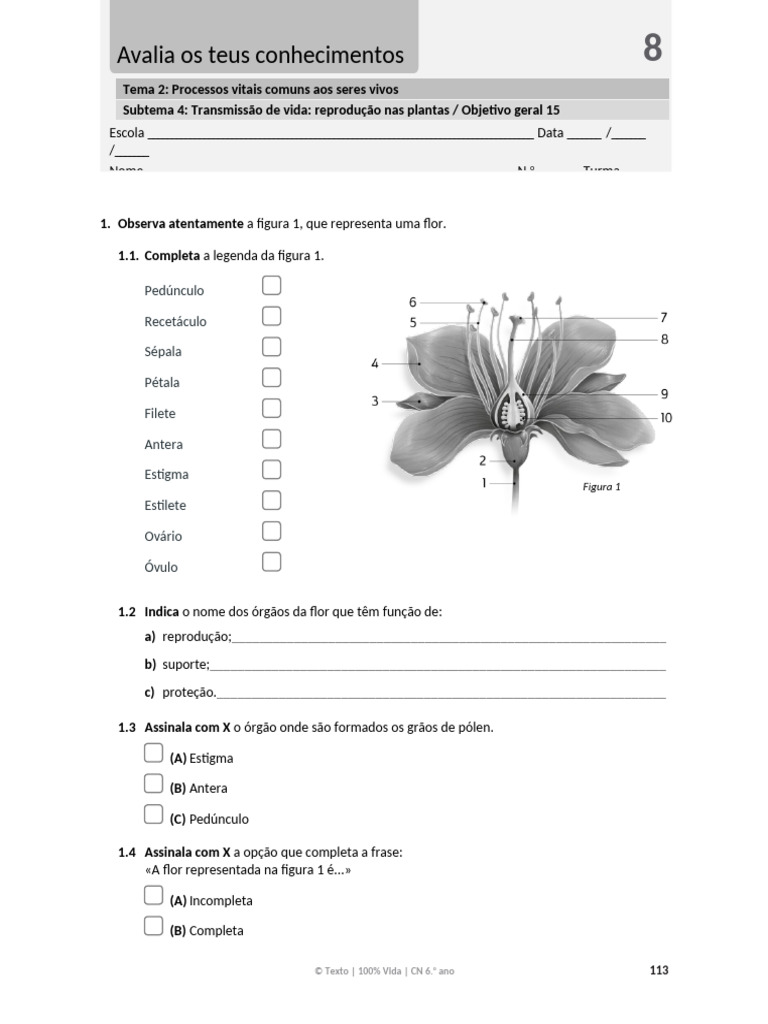 Avalia Os Teus Conhecimentos (Ficha 8) - Reprodução Nas Plantas | PDF ...