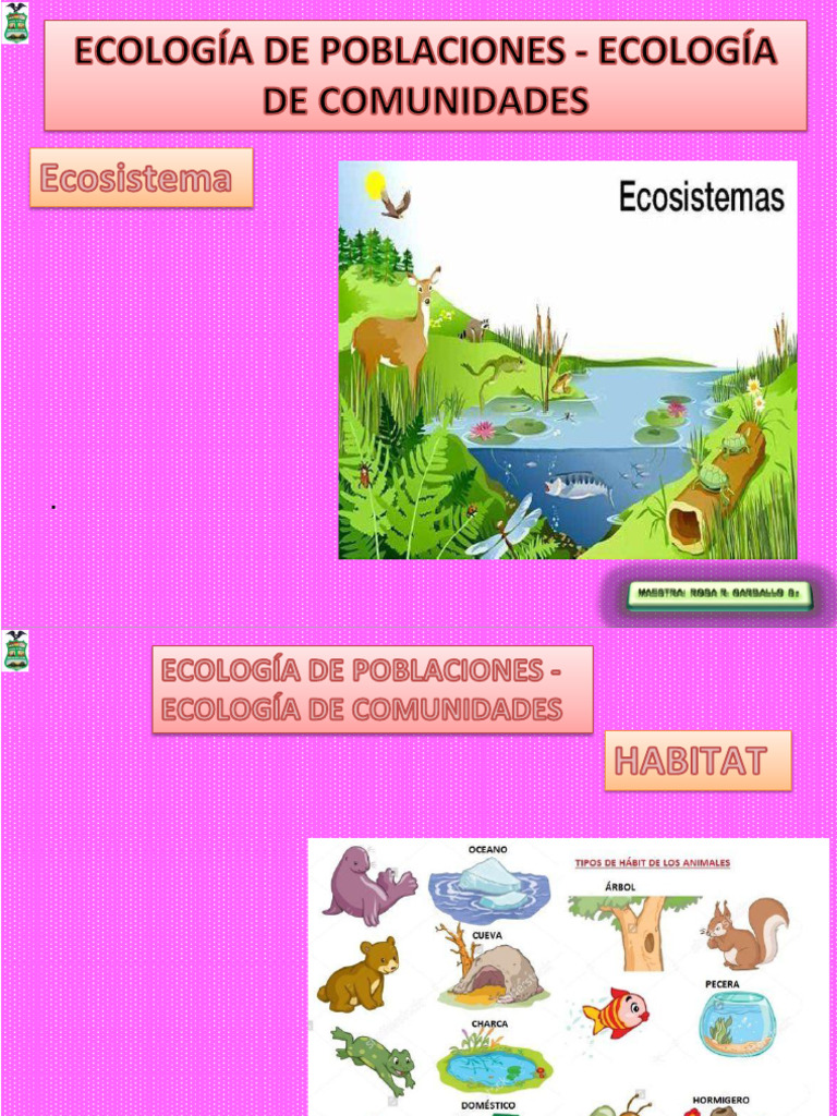 Interacciones Ecologicas | PDF | Ecología | Depredación