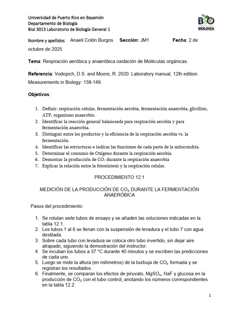 Libreta Respiración Celular Anaeli | PDF | Glucólisis | Fermentación