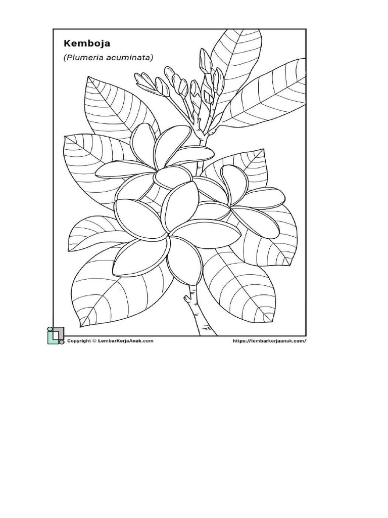 Gambar Bunga &hewan | PDF