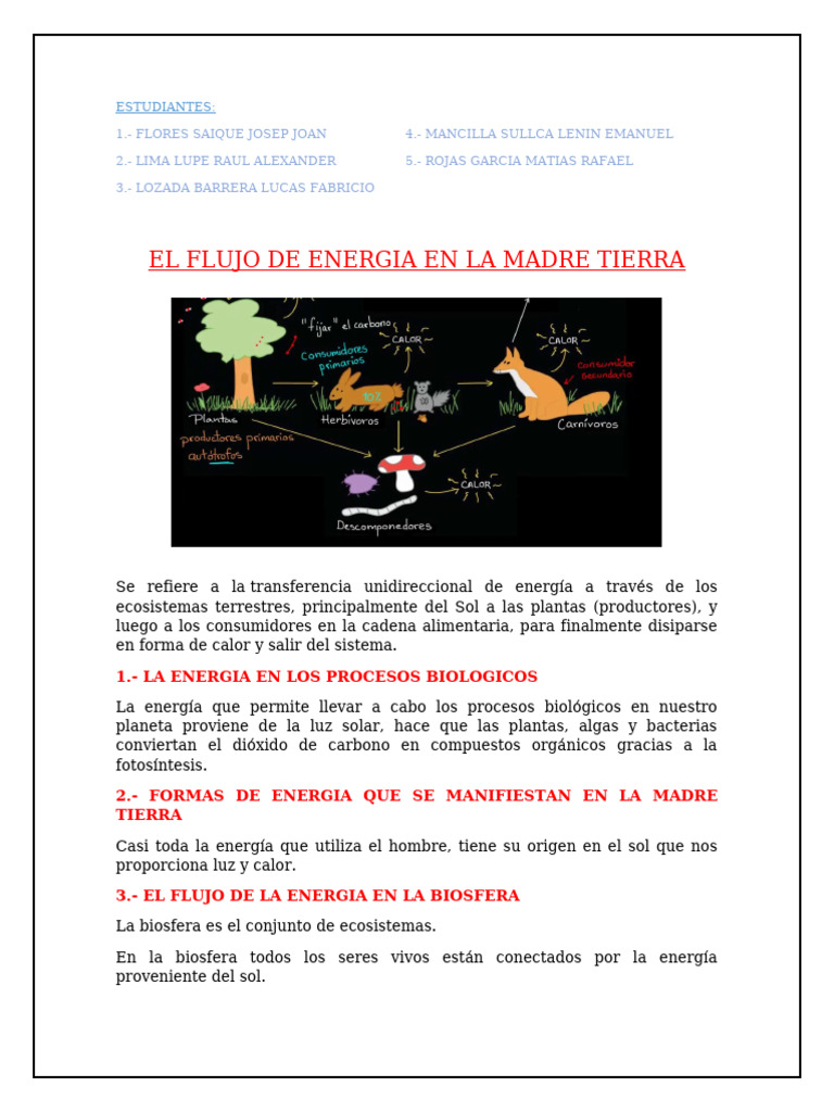 Flujo de Energía en la Madre Tierra | PDF