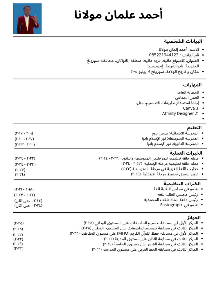CV Arab | PDF