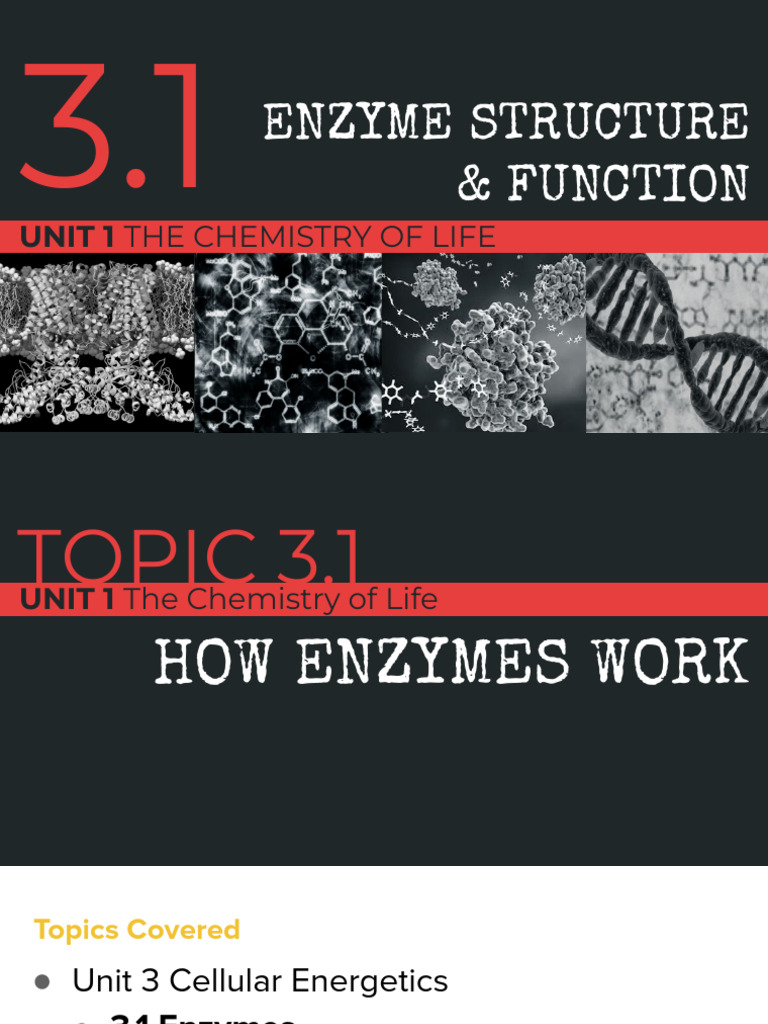 Unit 1 Enzyme Structure and Function 3.1,3.2 | PDF | Enzyme | Enzyme ...