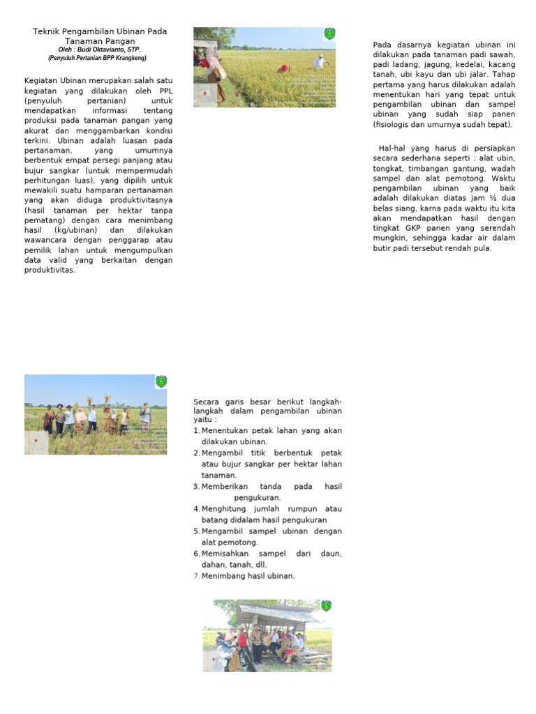 Teknik Ubinan _ Kec Krangkeng | PDF
