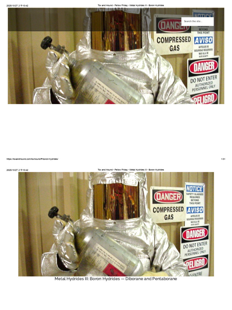 Boron Hydrides: Toxicity and Uses | PDF | Nitrogen Dioxide | Boron