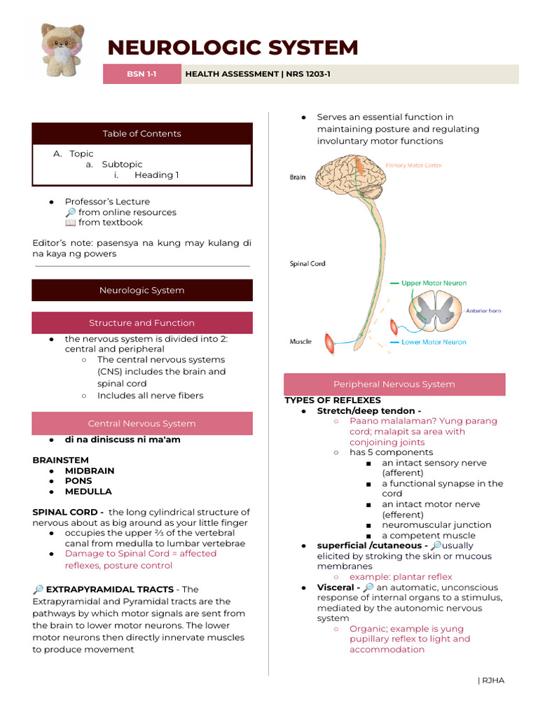 (NRS 1203.1) Neurologic | PDF | Central Nervous System | Spinal Cord
