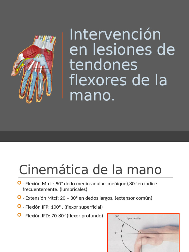 Intervención en Tendones Flexores | PDF | Tendón | Síndrome del túnel ...
