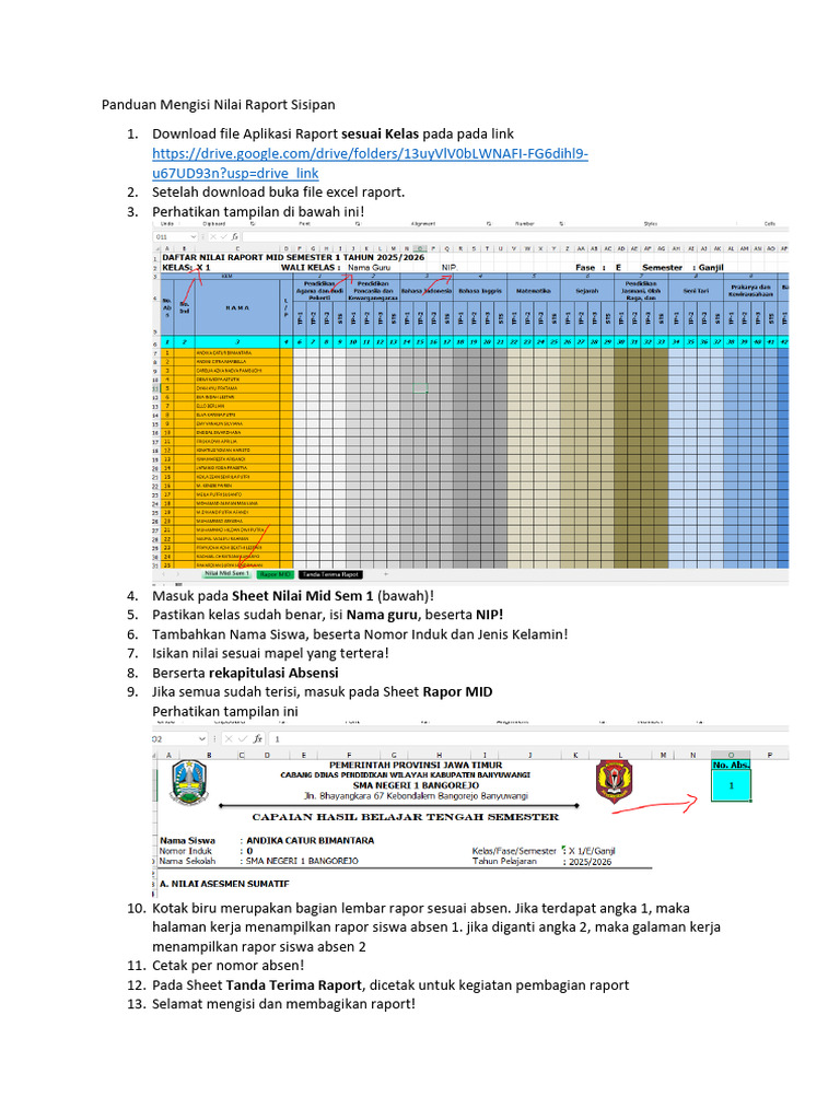 Panduan Pengisian Raport Sisipan | PDF