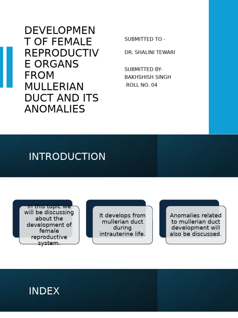 Mullerian Duct Development and Anomalies | PDF | Uterus | Sexual Anatomy