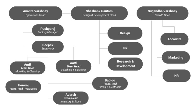 Team Structure and Leadership Roles | PDF