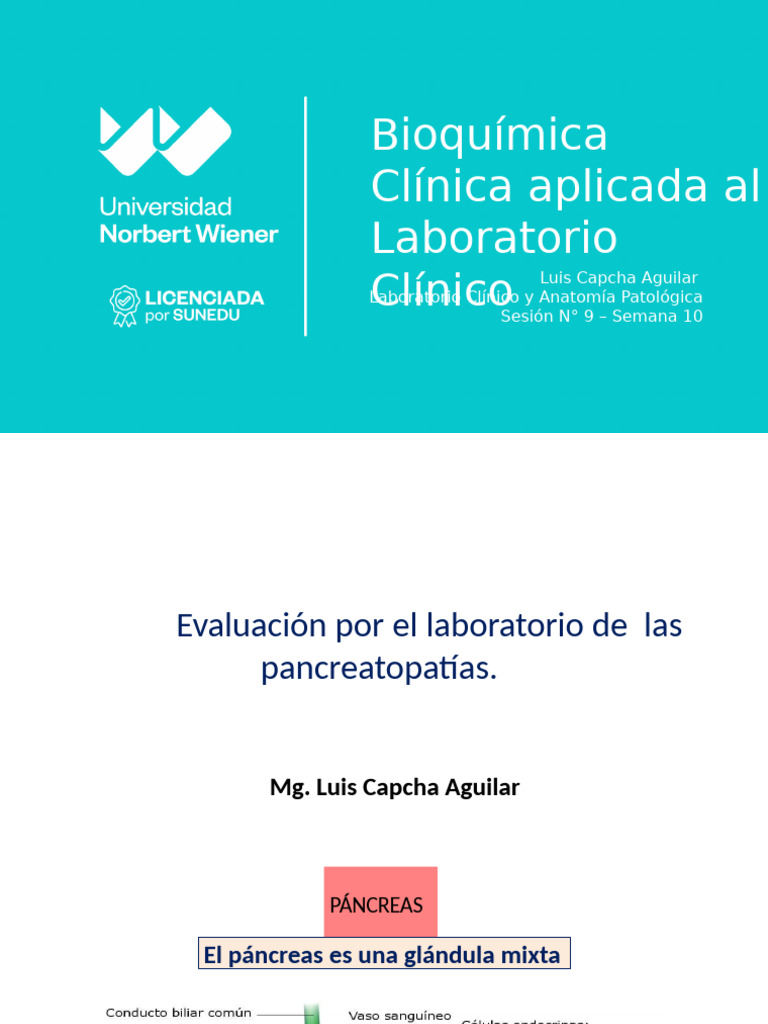 Sesión 10 Pancreopatia | PDF