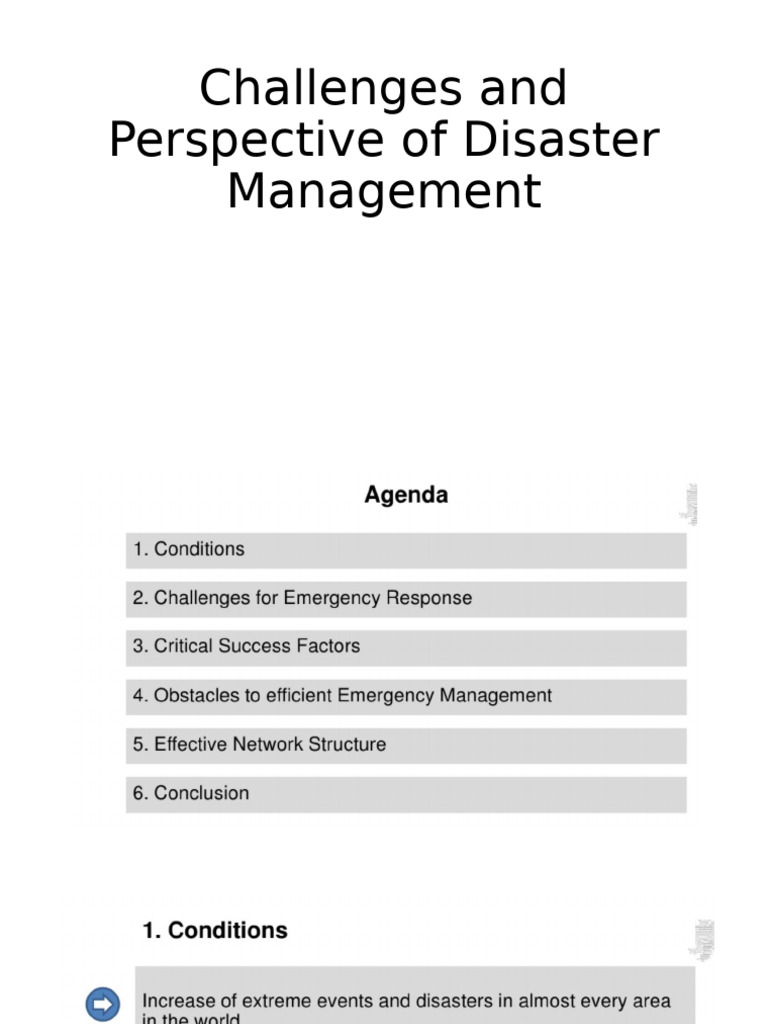 L6 Challenges and Perspective of Disaster Management | PDF