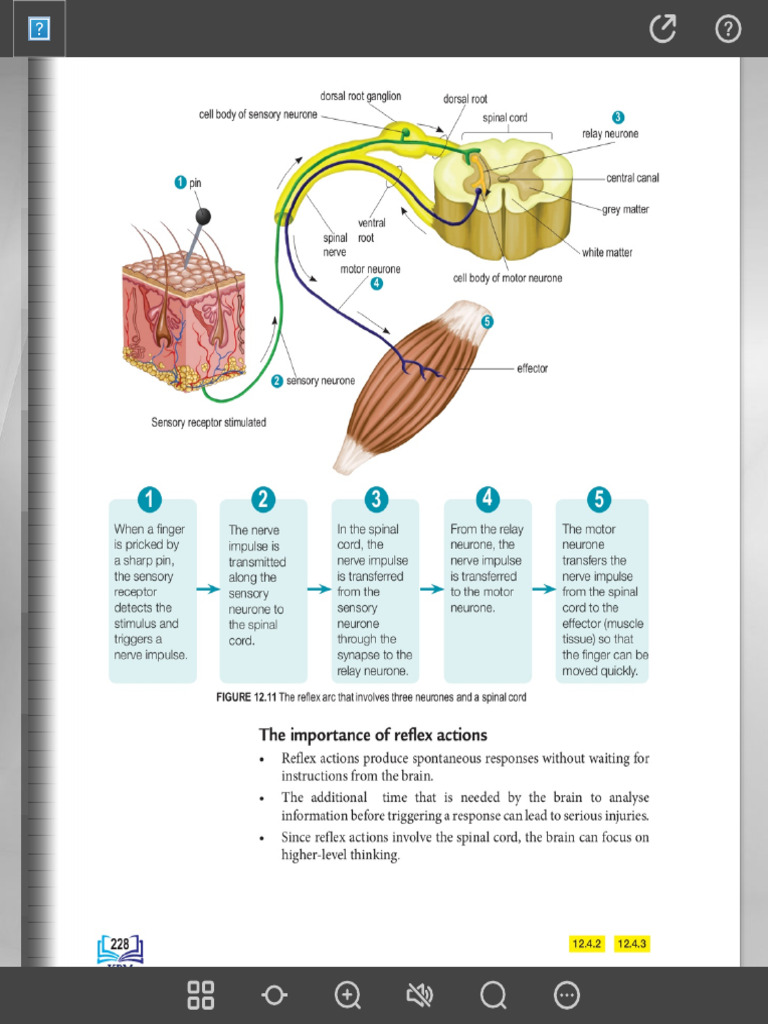 Biology Form 4 Textbook (DLP) - Final | PDF