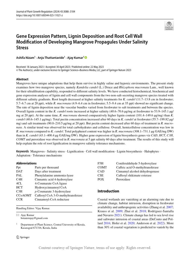 Gene Expression Pattern Lignin Deposition and Root | PDF | Mangrove ...