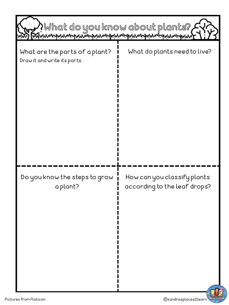 Plant Classification and Growth Basics | PDF | Flowers | Plants