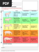 CSU Acute Pain Scale Canine | PDF | Pain | Diseases And Disorders
