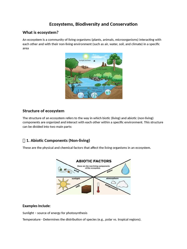 Ecosystems and Biodiversity Explained | PDF | Ecosystem | Biodiversity