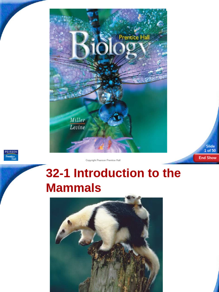 Introduction to Mammals: Key Features | PDF | Mammals | Zoology
