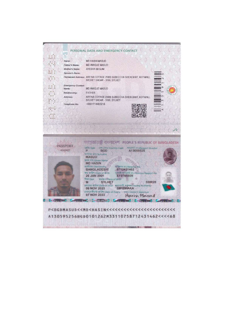 E Passport | PDF
