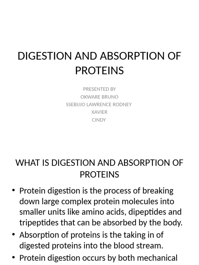 Digestion and Absorption of Proteins-1 | PDF | Digestion | Proteolysis
