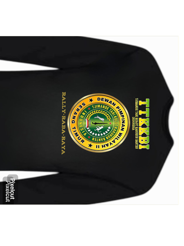 T Shirt Back - Bin | PDF