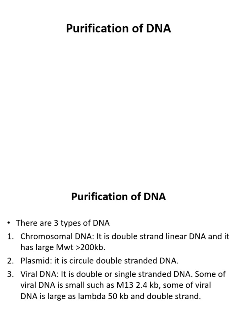 Part 4 | PDF | Molecular Cloning | Gel Electrophoresis