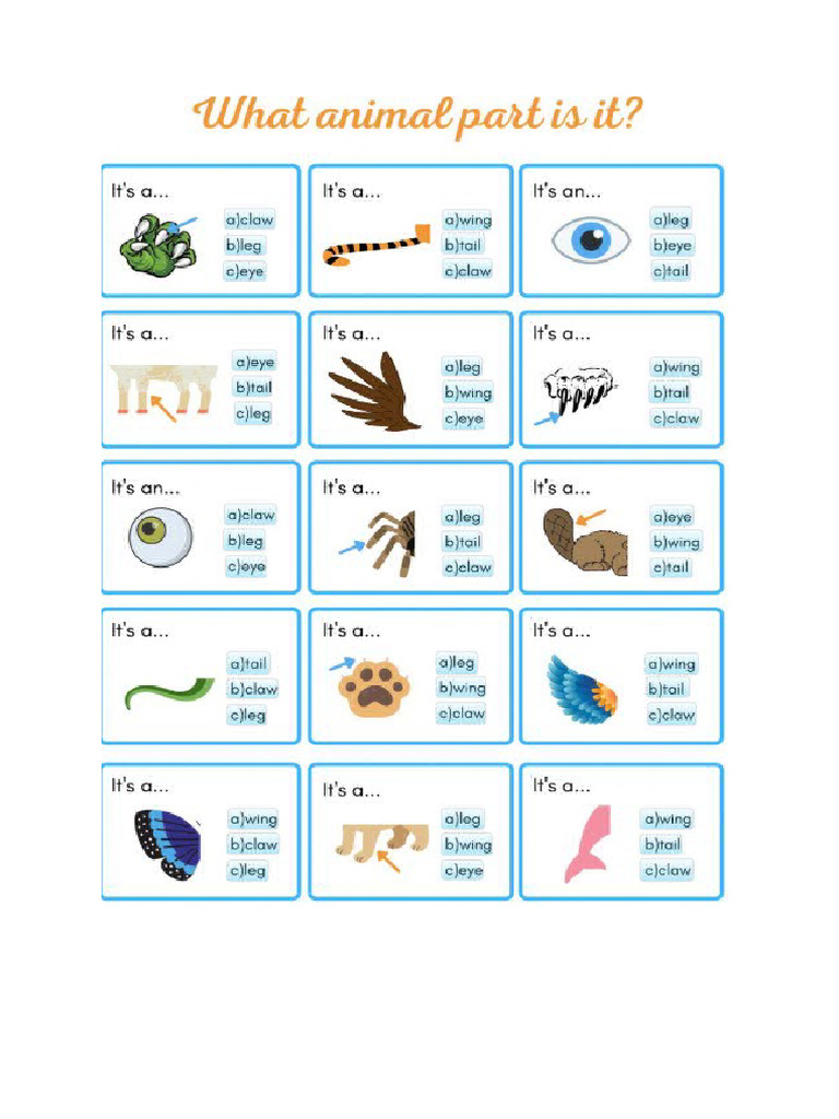 Animals Parts | PDF